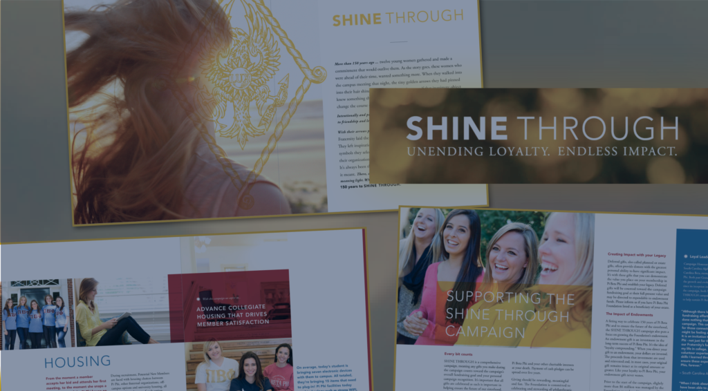 Campaign Profile: Pi Beta Phi Foundation "SHINE THROUGH" - Foundation ...